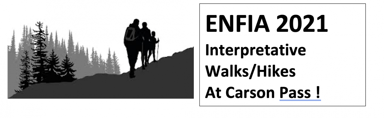 Carson Pass Enfia